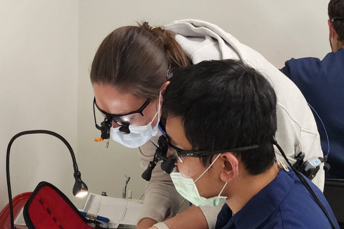 Advanced Surgical Extractions and Periodontal Surgery in Dogs - Vet ...